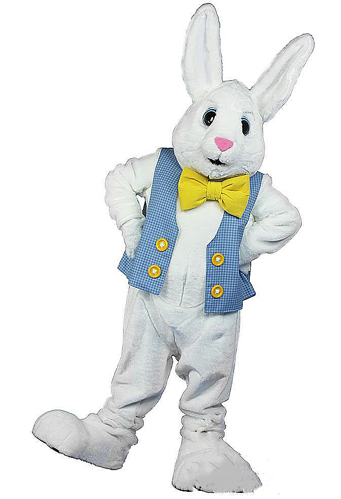 Easter Bunny Costume Png