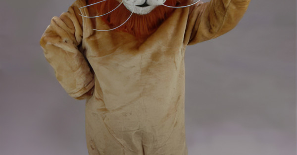 Jr Lion Mascot Costume 43077