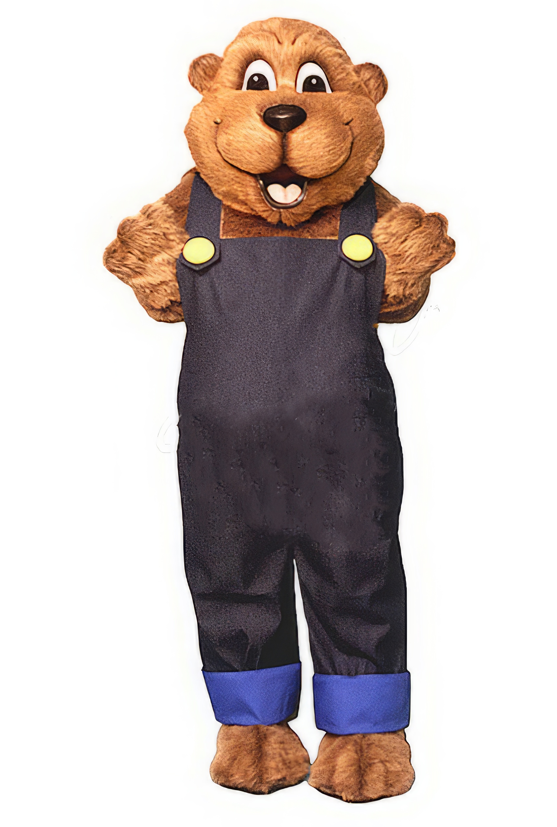 Woody guarantee Toy Story Mascot Costume