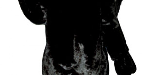 Stinky Skunk Mascot Costume 2839-Z