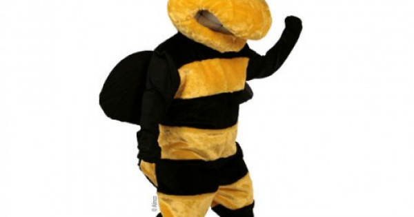 cheerleading_mascots-bee-615-Hornet-500x500-600x315w.jpg