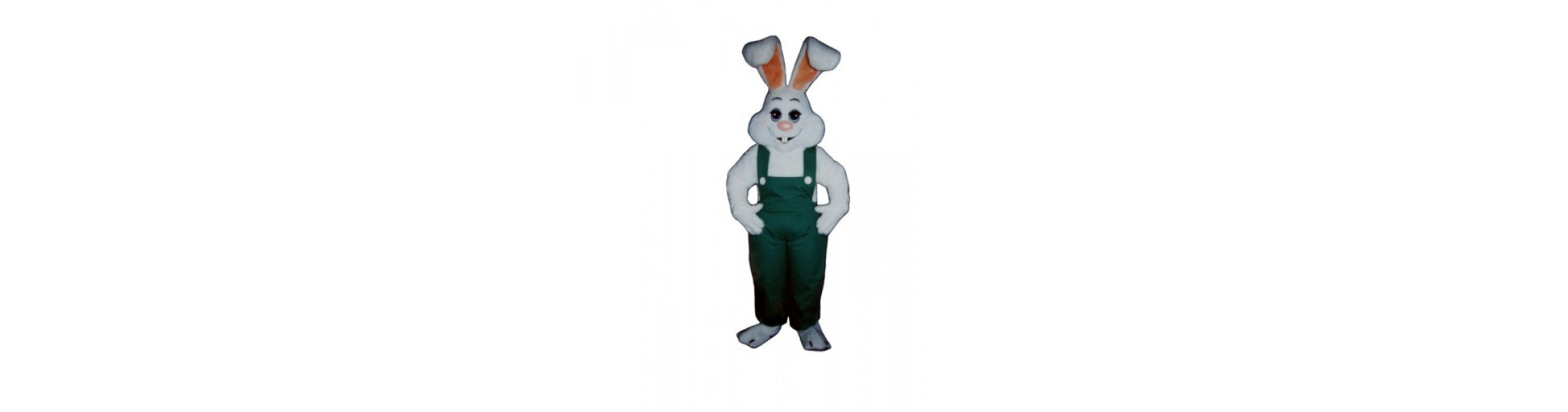 Rabbit and Bunny Mascot Costumes