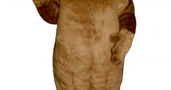 Mascot costume #206-Z Ranger